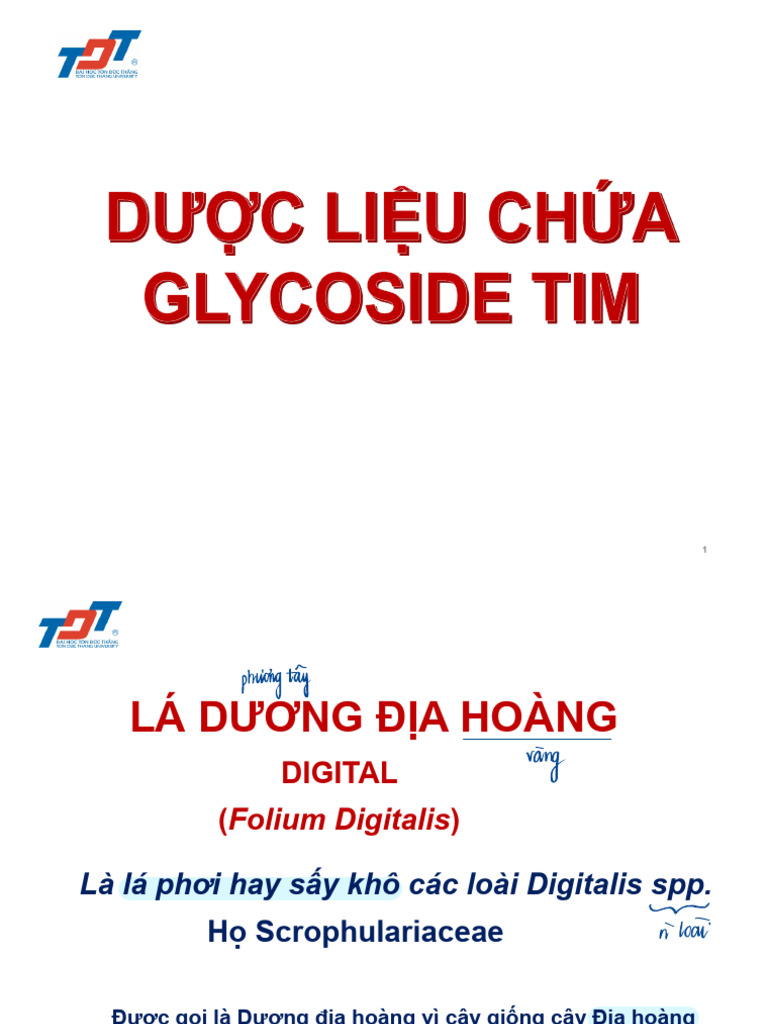Bai 5.2 DL Glycoside Tim | PDF
