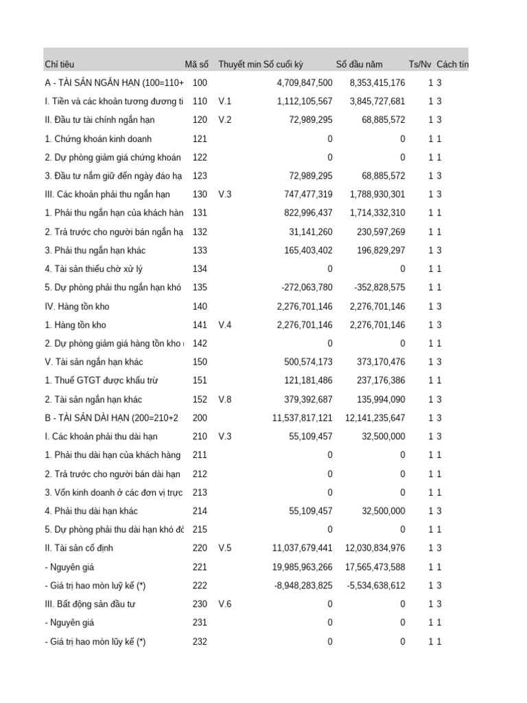 Bang Can Doi Ke Toan (Mau B01-DN, DNN) (Den Ngay 31-12-2024) (10!02!2025) | PDF
