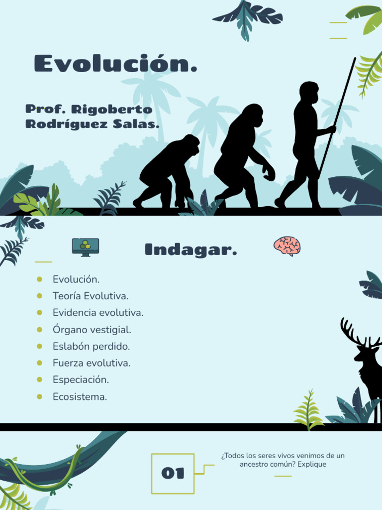 Mecanismos de la Evolución | PDF | Evolución | Seleccion natural