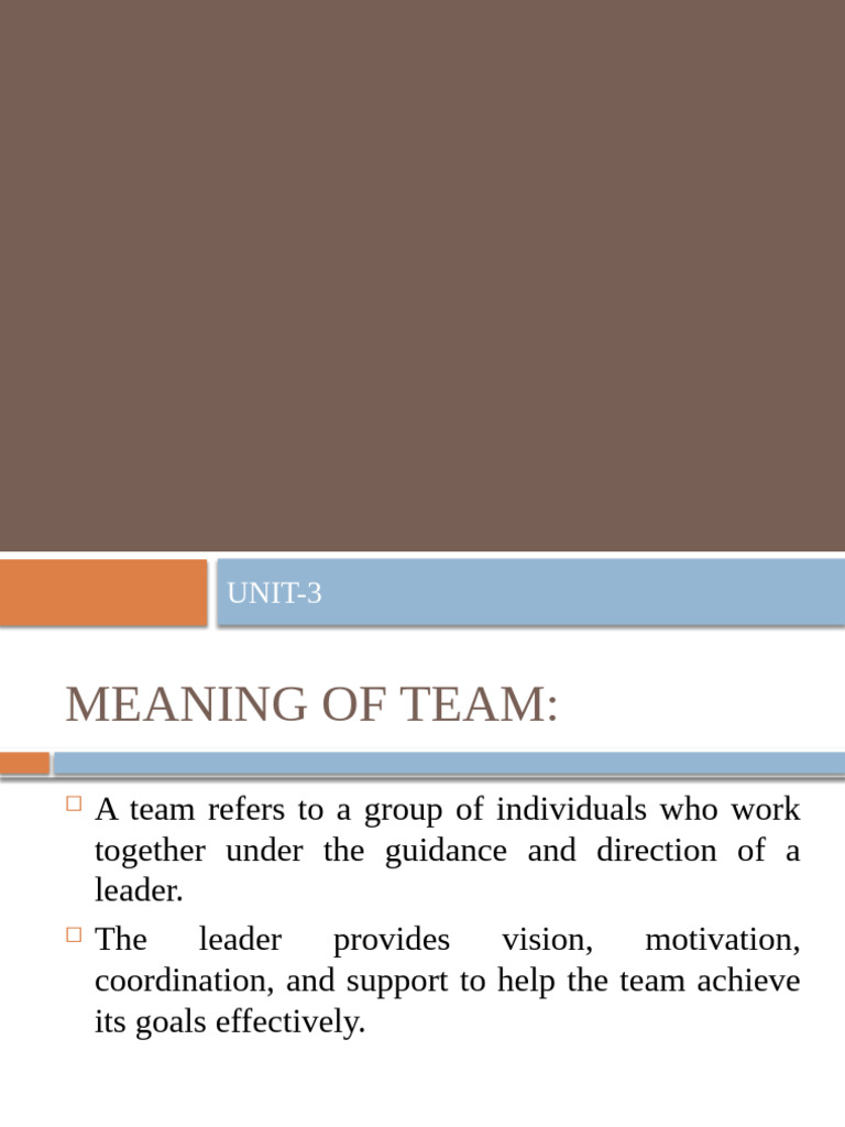 BLS UNIT 3 Leadership Skills | PDF | Leadership | Motivational