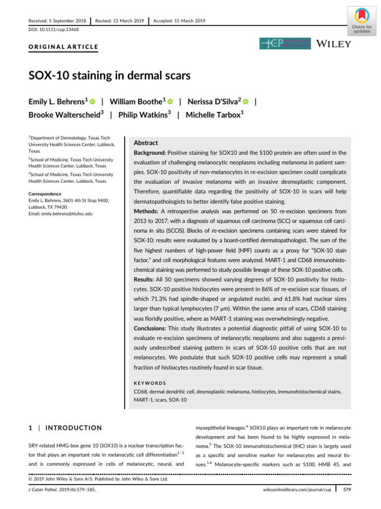 SOX-10 staining in dermal scars | PDF | Melanoma | Macrophage