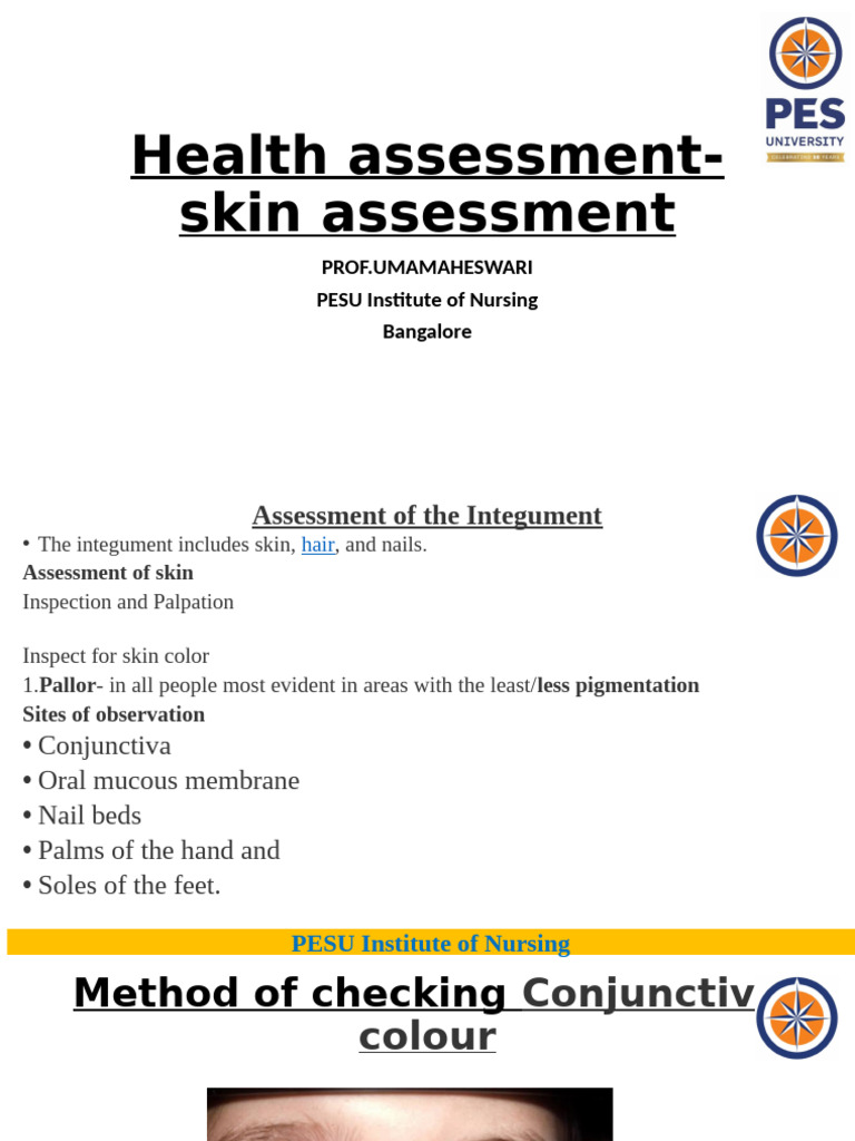 Health Assessment-Skin Assessment | PDF | Skin | Integumentary System