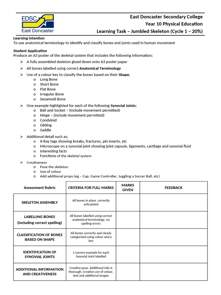 Learning Task - Jumbled Skeleton A3 | PDF | Joint | Skeleton