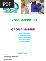 Grossing Techniques in Histopathology | PDF | Histopathology | Histology