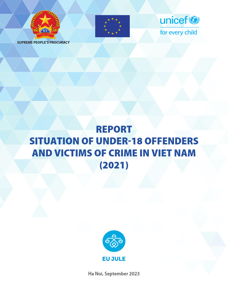 Under-18 Offenders and Victims in Vietnam | PDF | Crimes | Crime & Violence