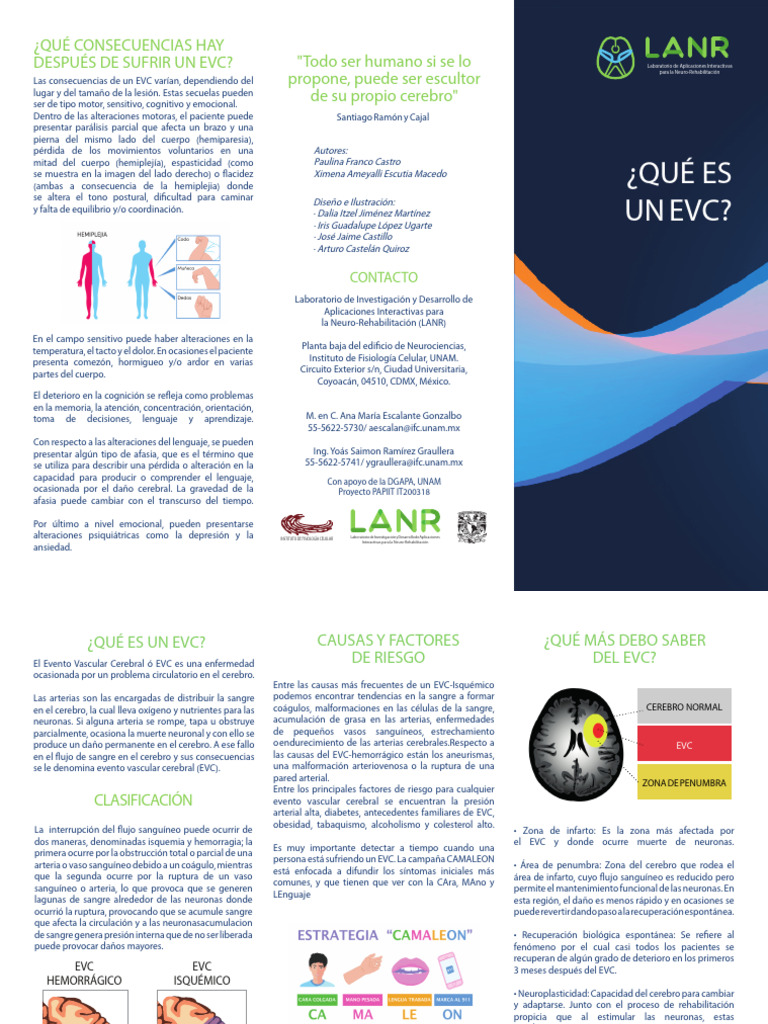 01_EVC | PDF | Carrera | Isquemia