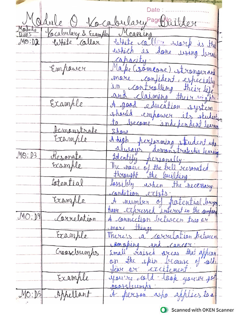 Module o - Module 14 Vocabulary With Example | PDF