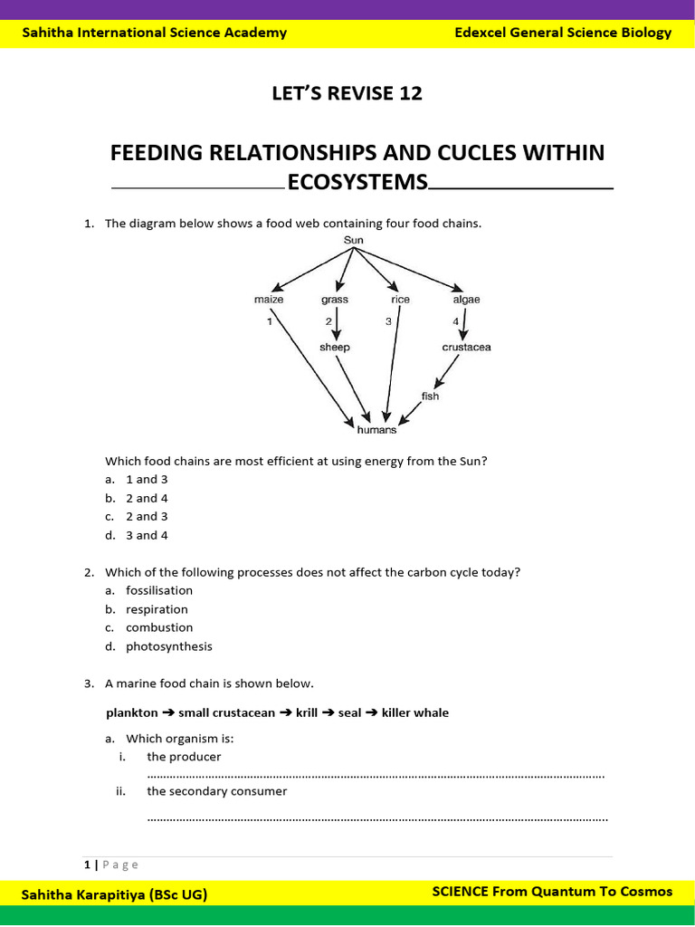 Let - S Revise 12 - Biology - Feeding Relationships and Cycles Within ...