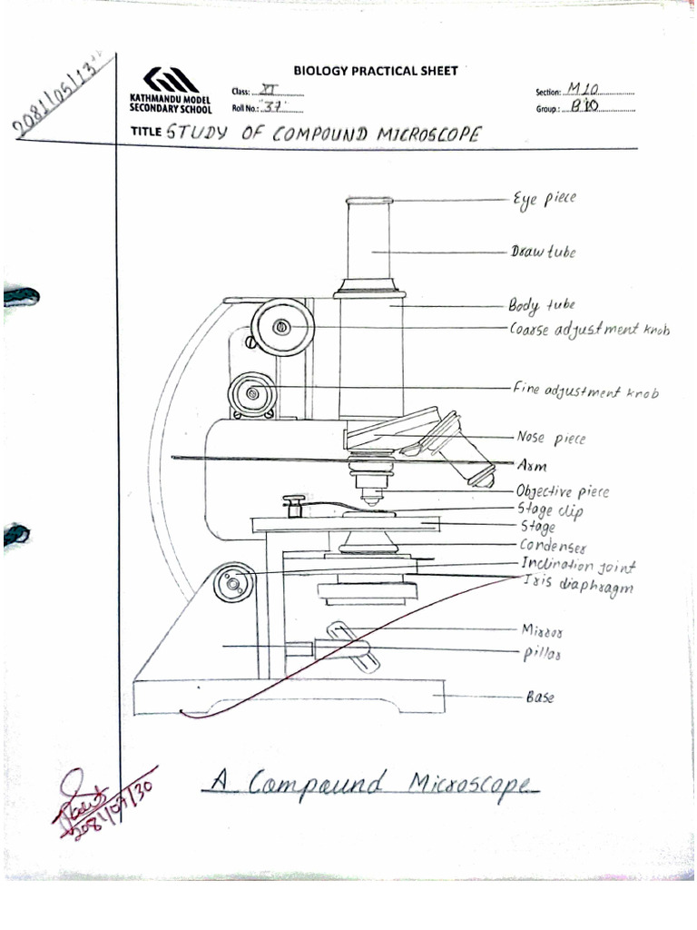 Zoology Practical | PDF