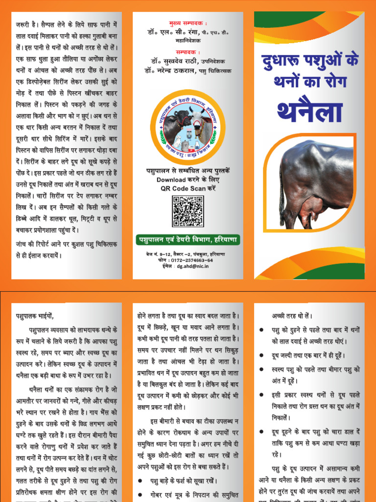 Thanela Broucher | PDF