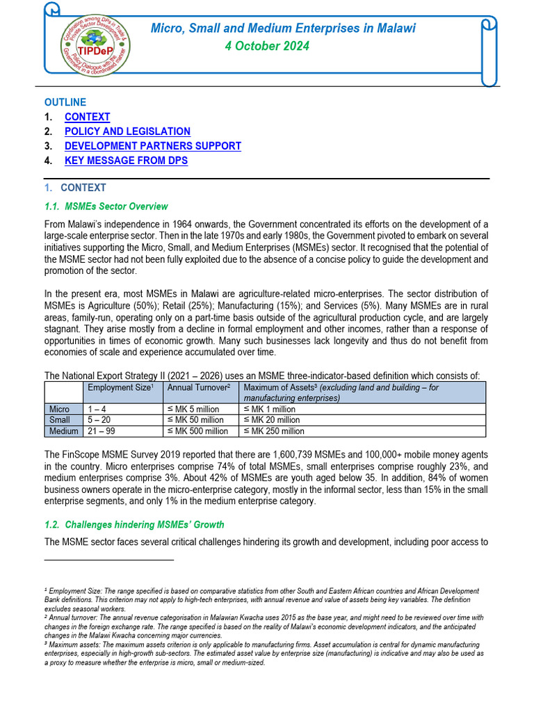 MSME Brief TIPDeP October 2024 TIPDeP | PDF | Small And Medium Sized Enterprises | Financial ...