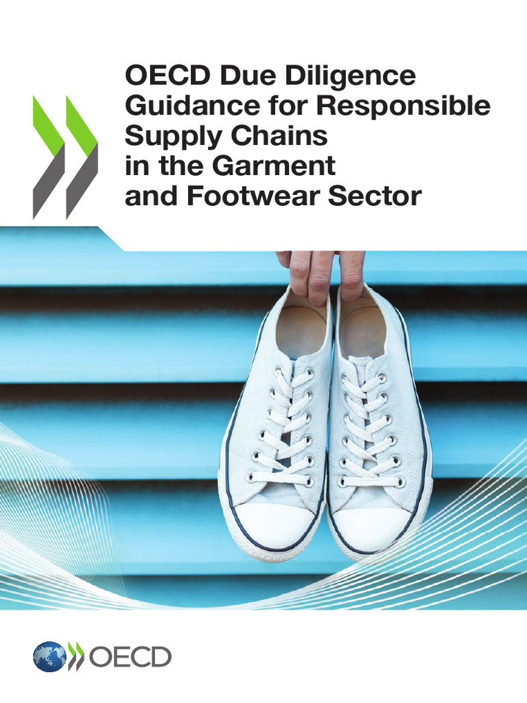 OECD-garment-9789264290587-en | PDF | Due Diligence | International ...