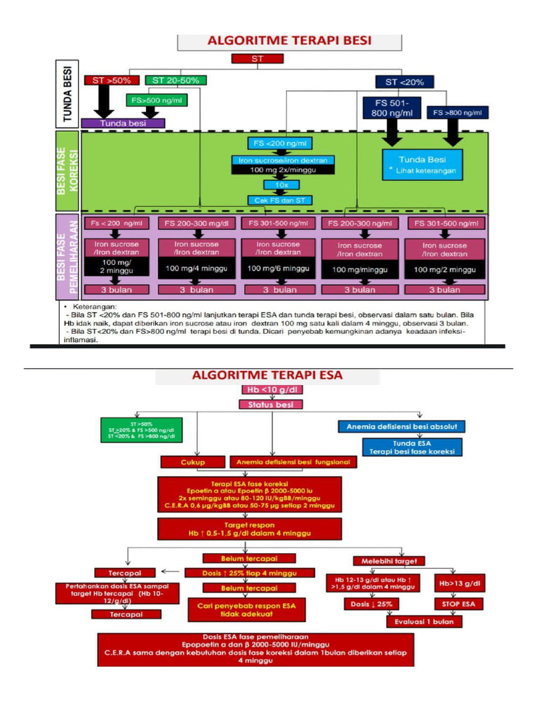 Algoritma Terapi Besi Dan ESA | PDF