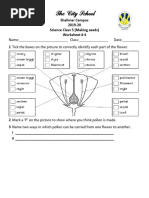 Pollination Worksheet Stage 5 Worksheet | PDF | Pollination | Science