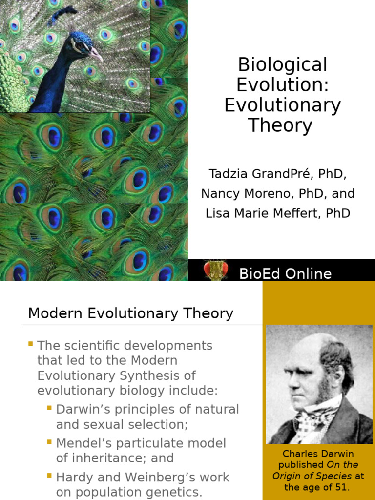 BioEd Presentation On Revolutionary Evolution | PDF | Natural Selection ...