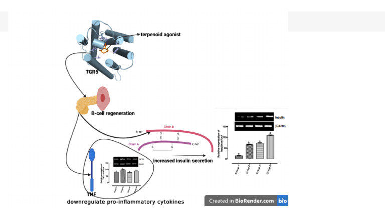BioRender-for-PowerPoint | PDF