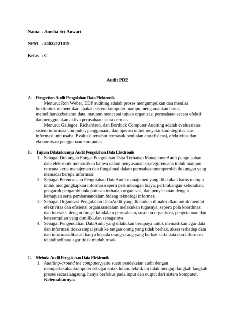 Amelia Sri Anwari 24022121019 AUDIT PDE | PDF