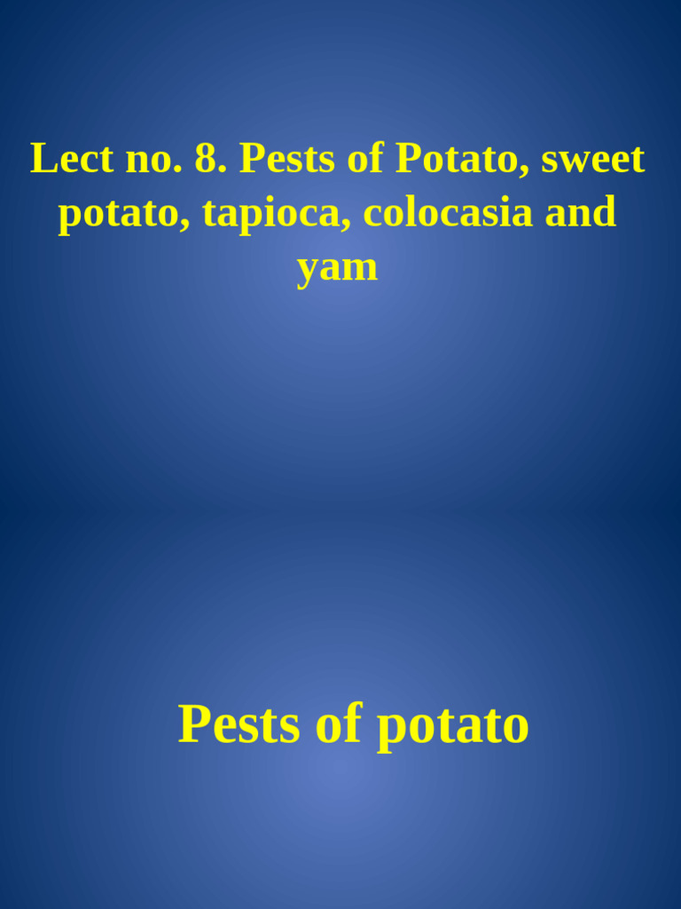 Lect No. 8 - Pest of Potato, Sweet Potato, Tapioca, Colocasia and Yam ...