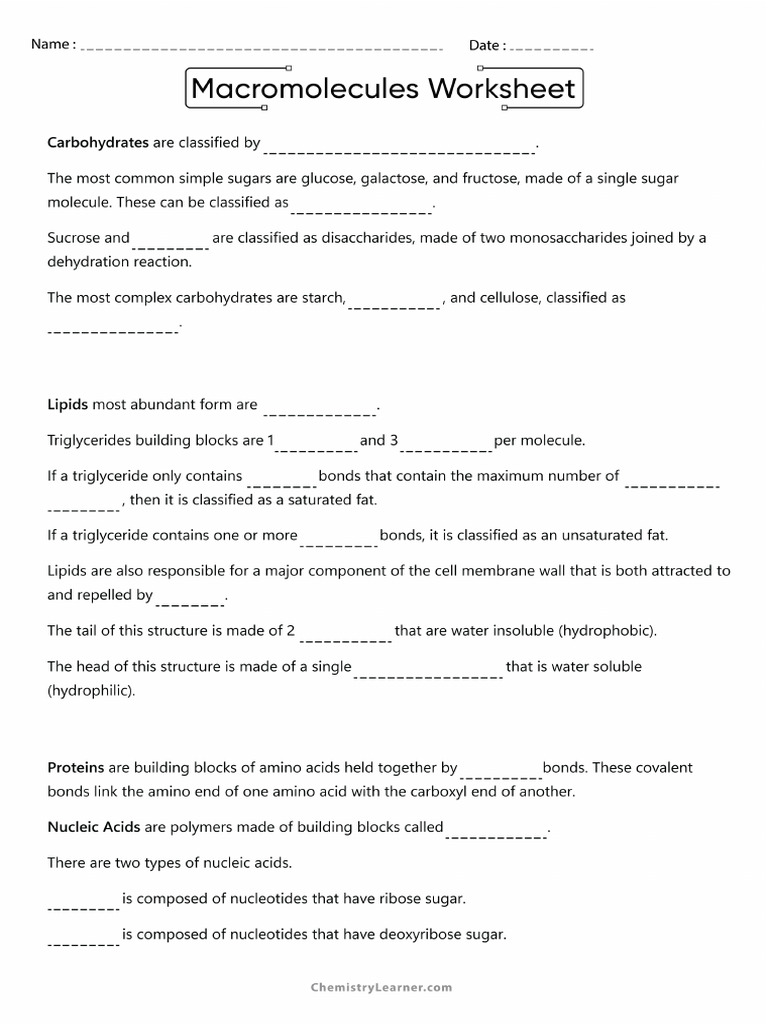 Linking All Biological Macromolecules Worksheet With Answers | PDF