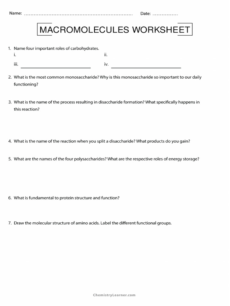 Biology Identifying Macromolecules Review Worksheet With Answers | PDF