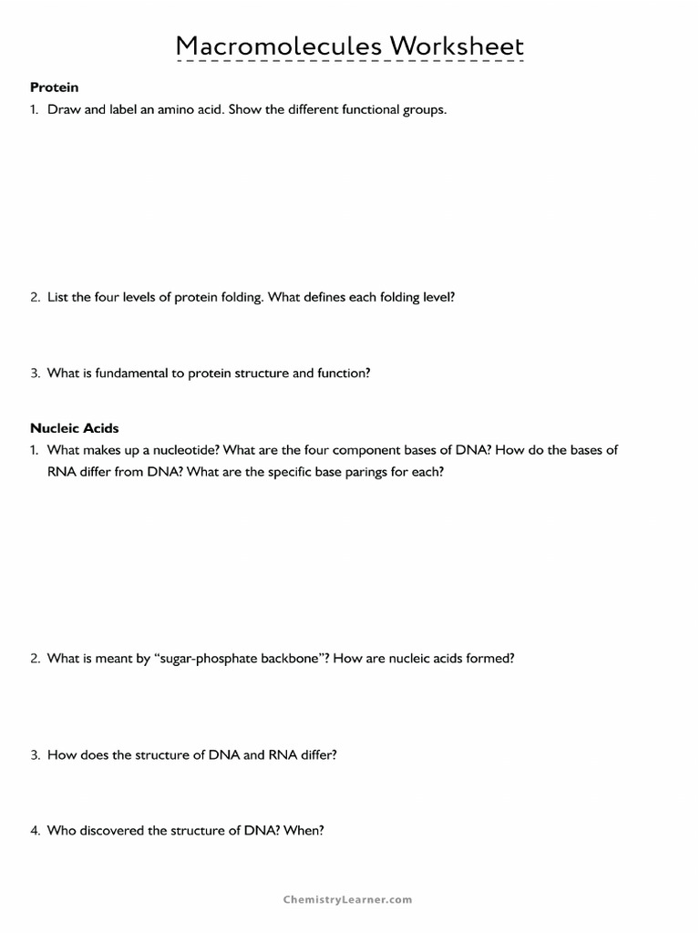 Macromolecules Worksheet Biochemistry 8 With Answers | PDF