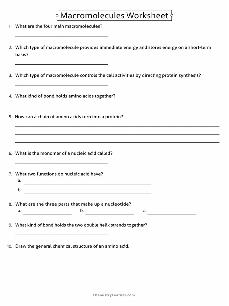 Organic-Macromolecules-Worksheet | PDF