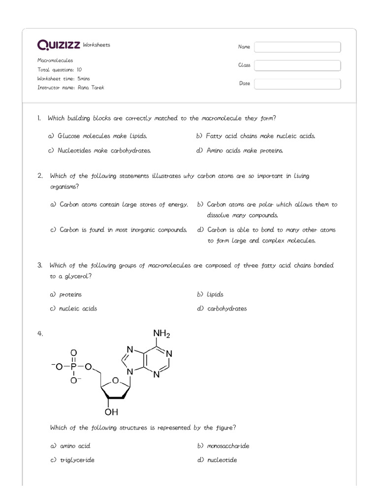 Enzyme and Macromolecule Worksheet | PDF | Macromolecules | Enzyme