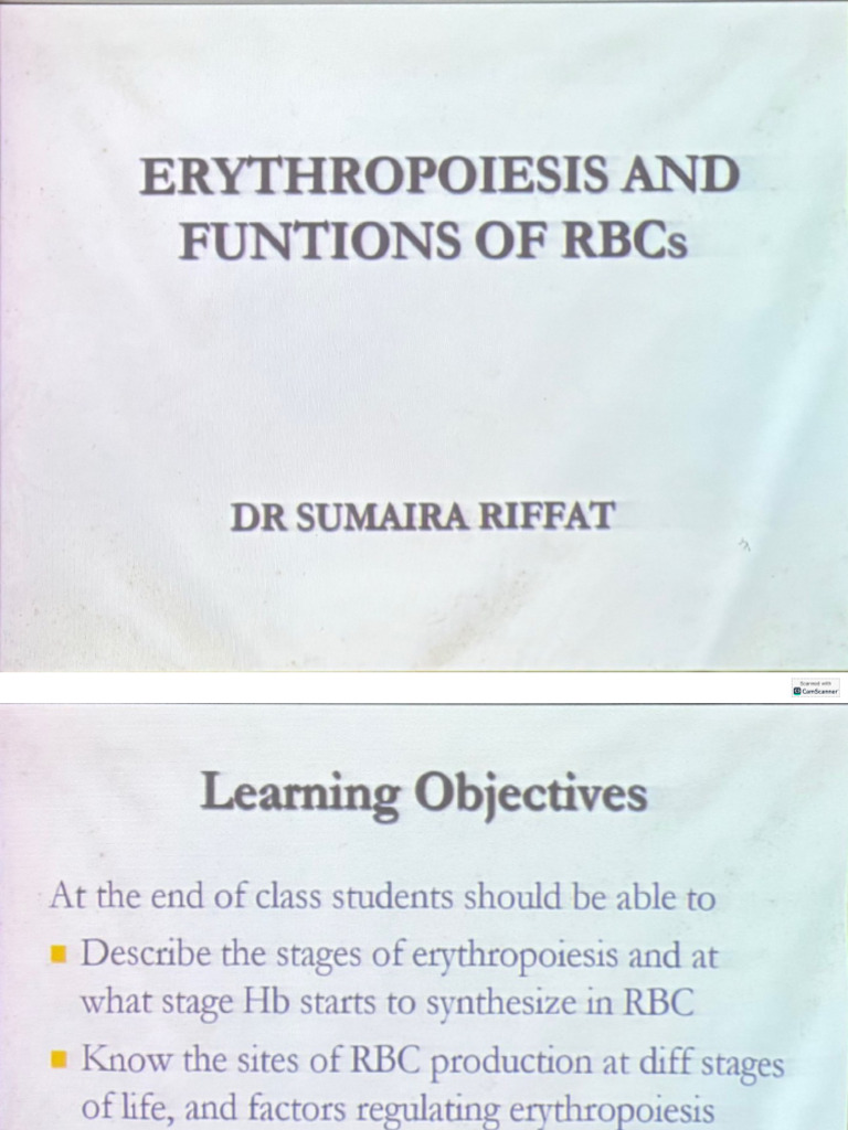 Erythropoiesis and Function of RBCS-17th | PDF