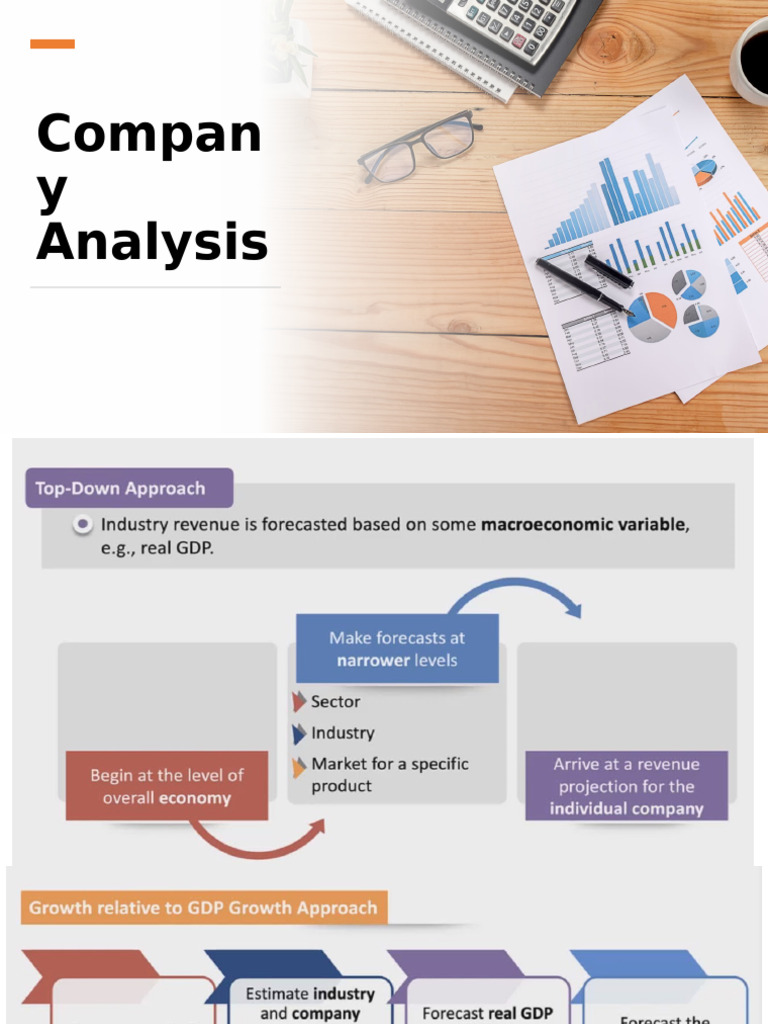 Comppany Analysis | PDF
