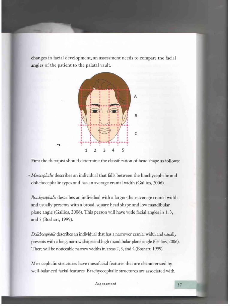 Chapter 2b - Tongue Tie Assessment Parte 2 | PDF | Dental Anatomy ...