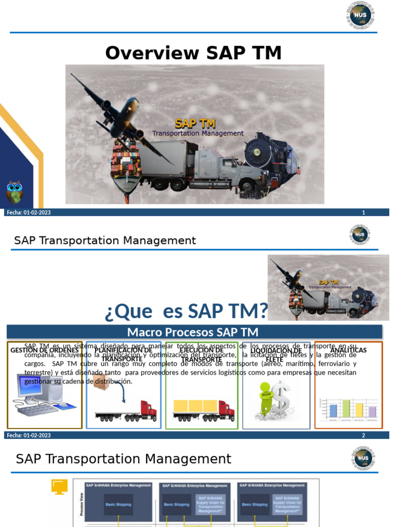 Overview SAP TM (Enfoque Basico) NUS | PDF | Transporte | Logística
