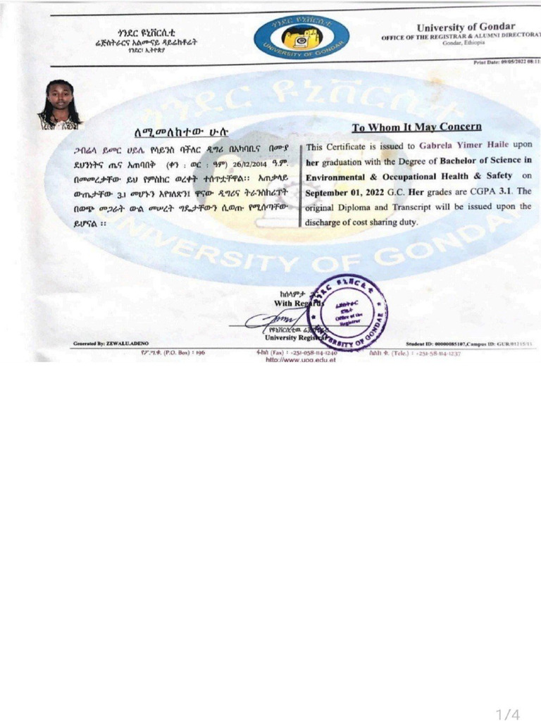 Gabrela BSC Degree | PDF
