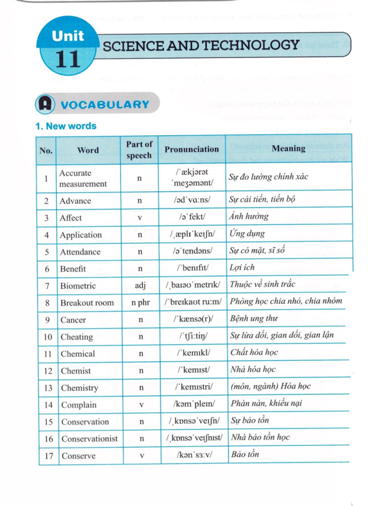 New Word Unit 11 | PDF