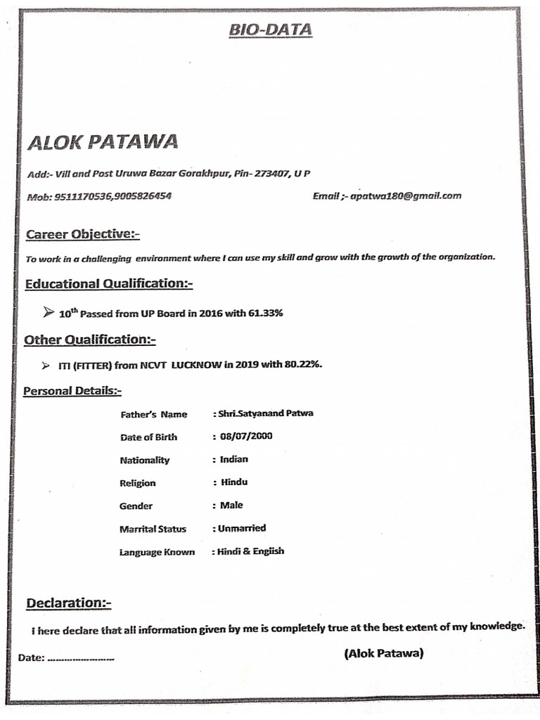Resume Alok Patawa | PDF