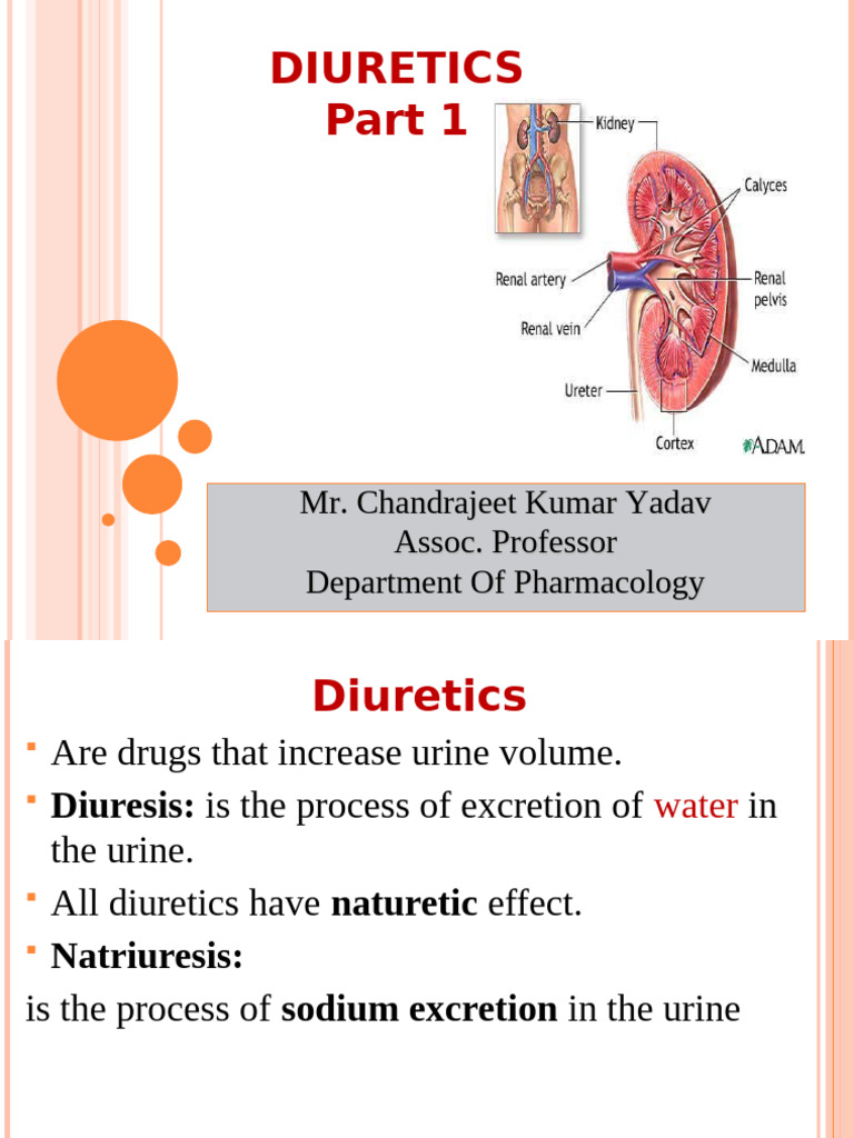3 - CA Inhibitors Diuretics 22 | PDF | Kidney
