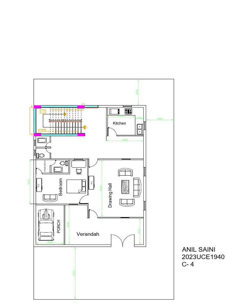 Ani Model | PDF