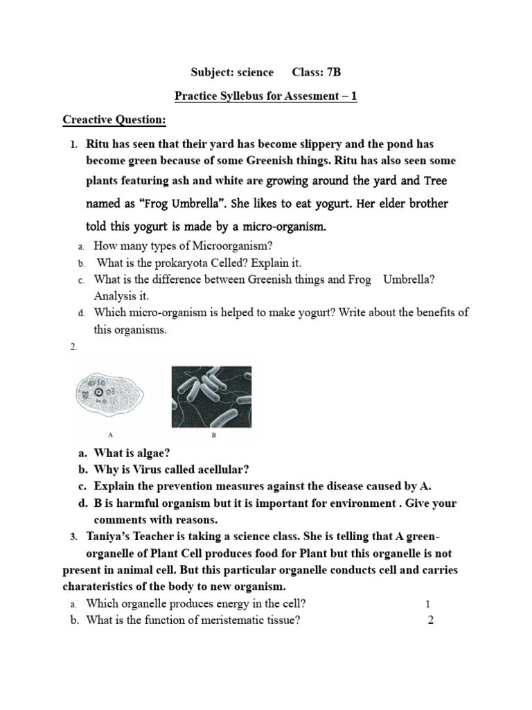 Class 7EV Practice Syllebus For Evaluation Test - 1 | PDF ...