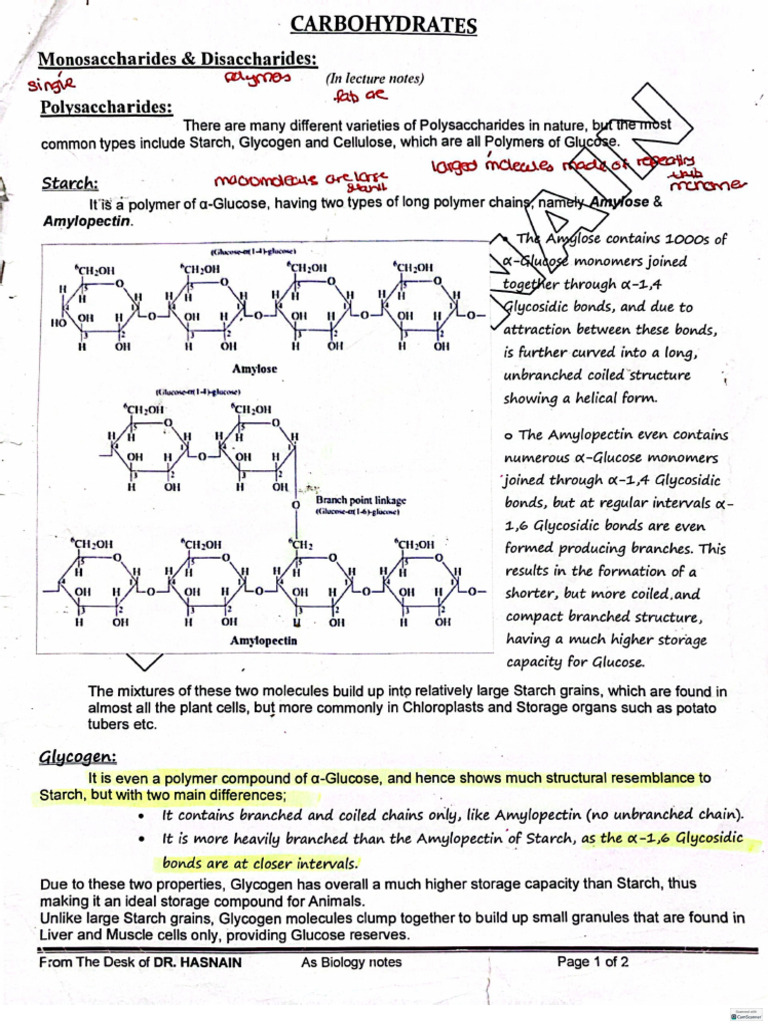 Biological Molecules | PDF