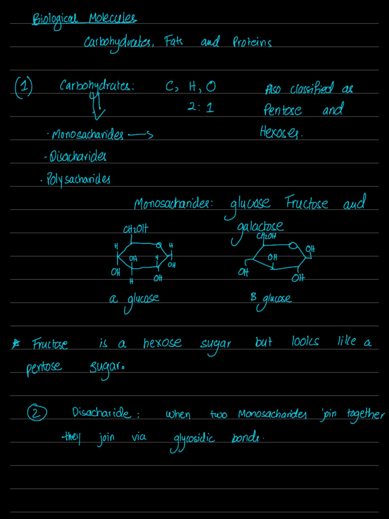 Biological Molecules | PDF