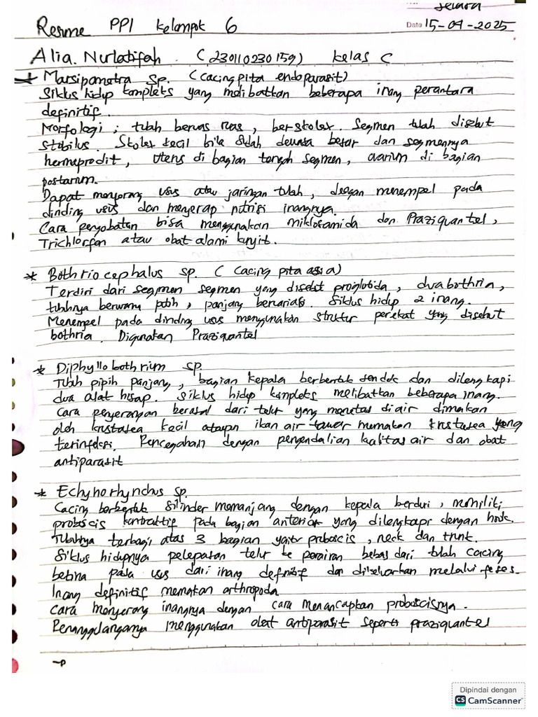 159 - Alia Nurlatifah - Resume PPI Kelompok | PDF