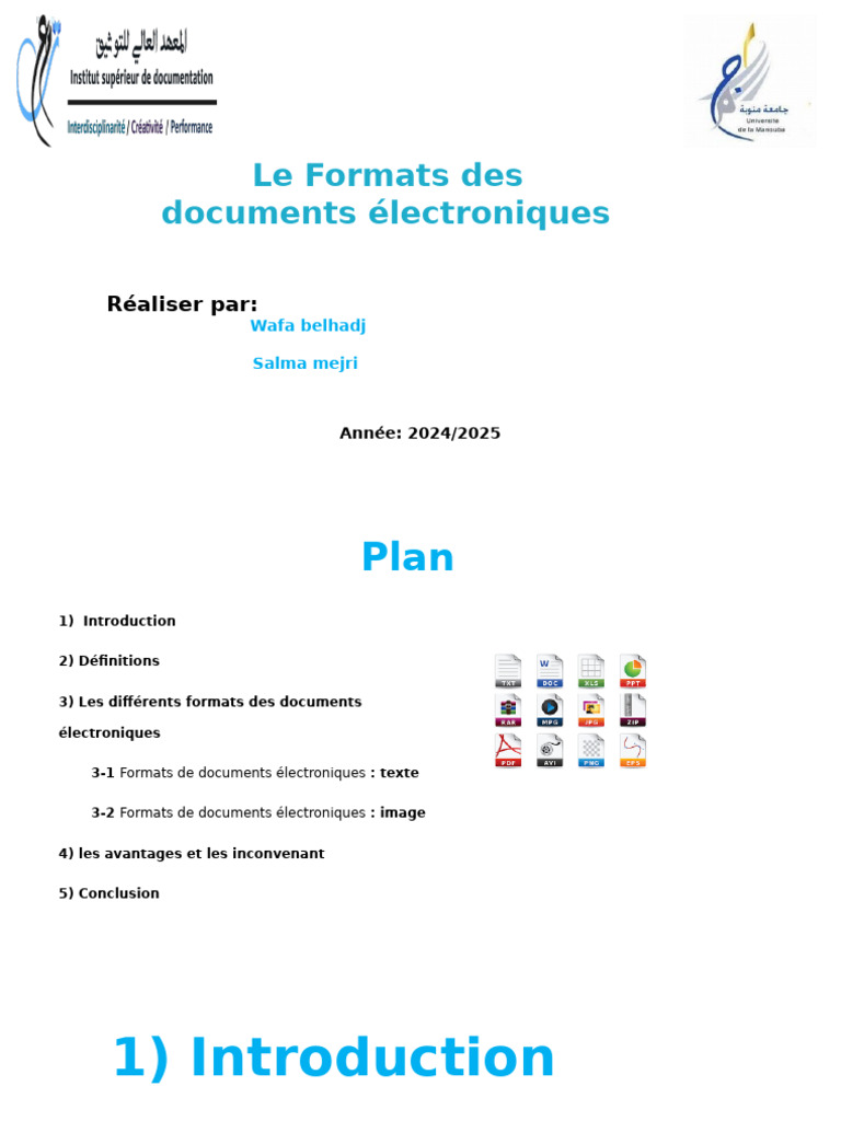 Formats des documents numériques 2024 | PDF | Langage de balisage | XML