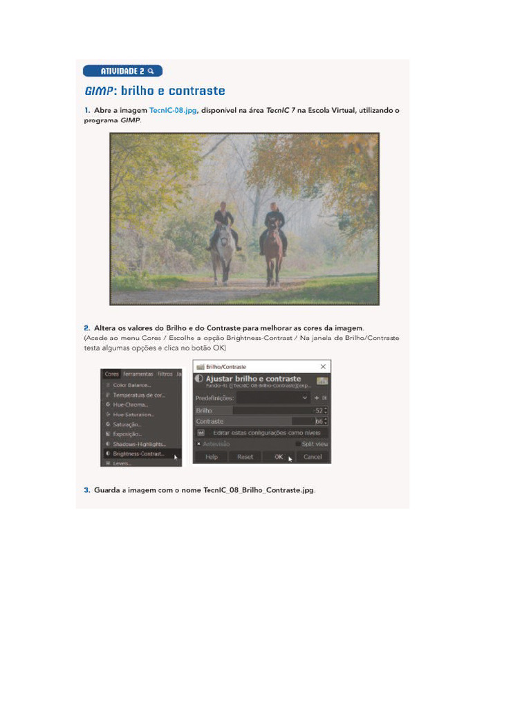 Atividade 2 - Gimp | PDF