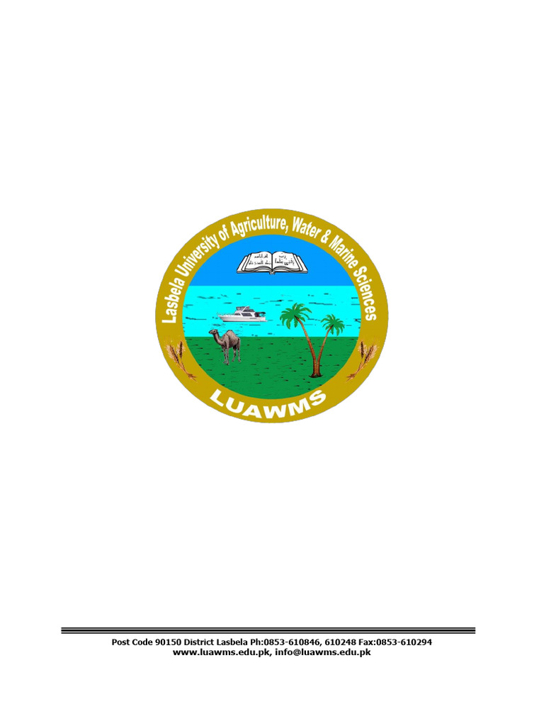 LUAWMS Employment Form For Faculty Positions | PDF