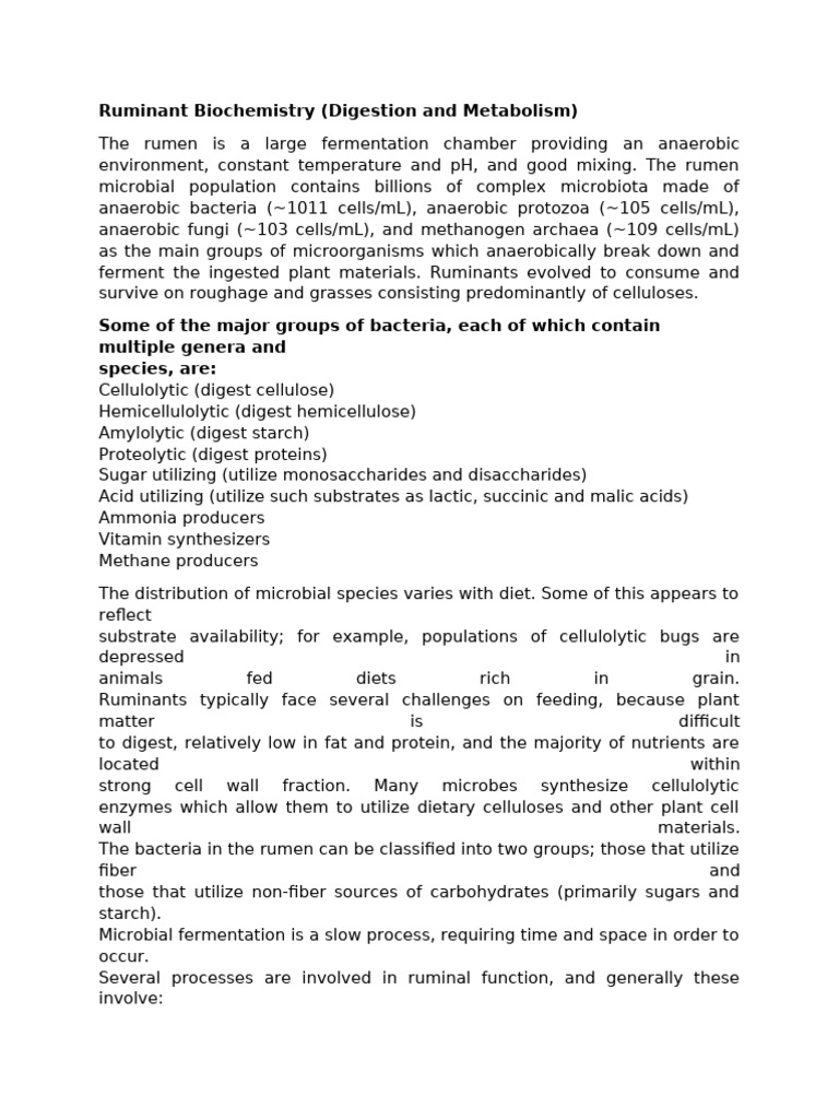 Rumen Function in Ruminant Digestion | PDF | Ruminant | Digestion