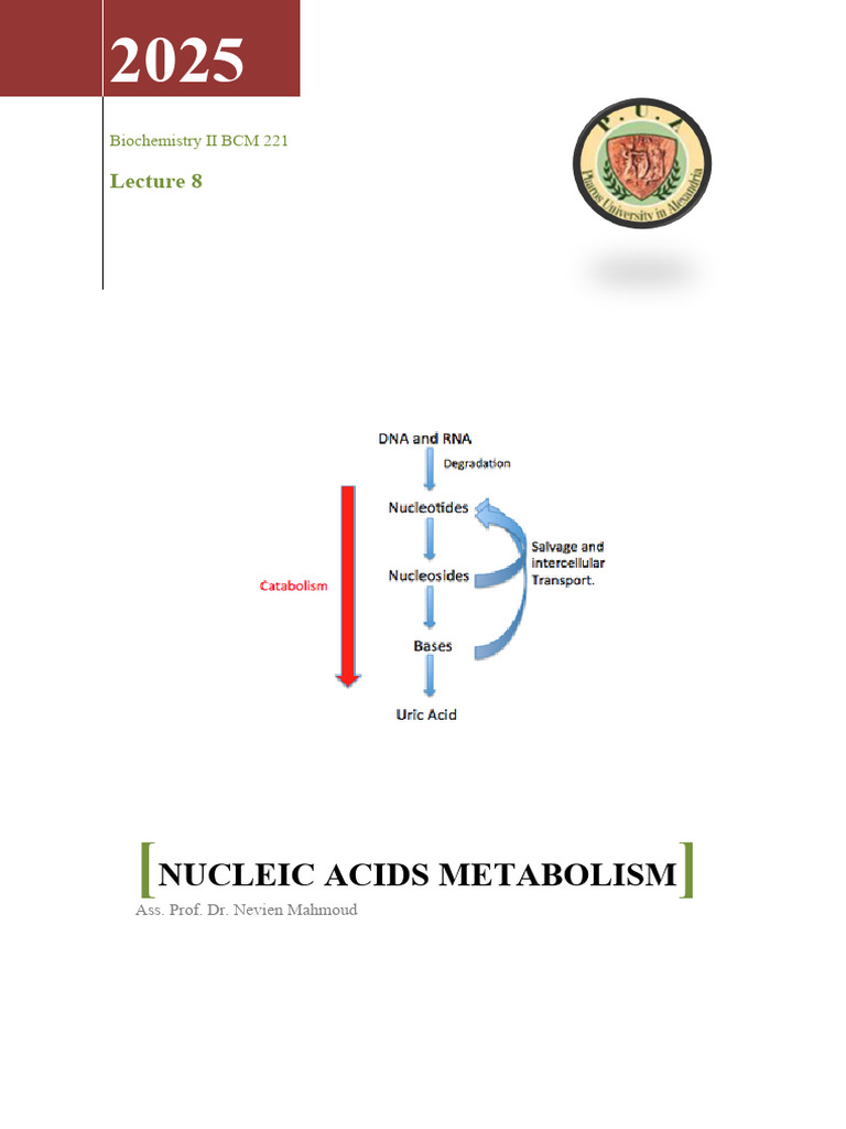 Nucleic acid metabolism | PDF | Nucleotides | Biosynthesis