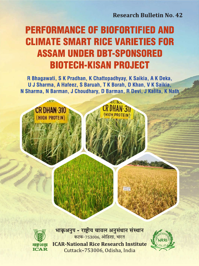 Research Bulletin 42 Final | PDF | Rice | Sowing