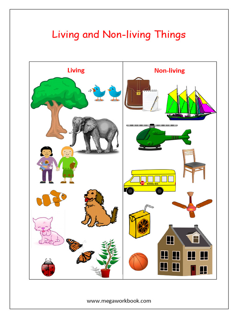 Living vs Non-Living Things Guide | PDF
