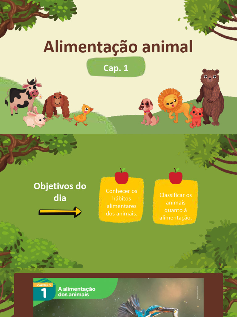 A Alimentação Dos Animais 3a Série Ciencias | PDF