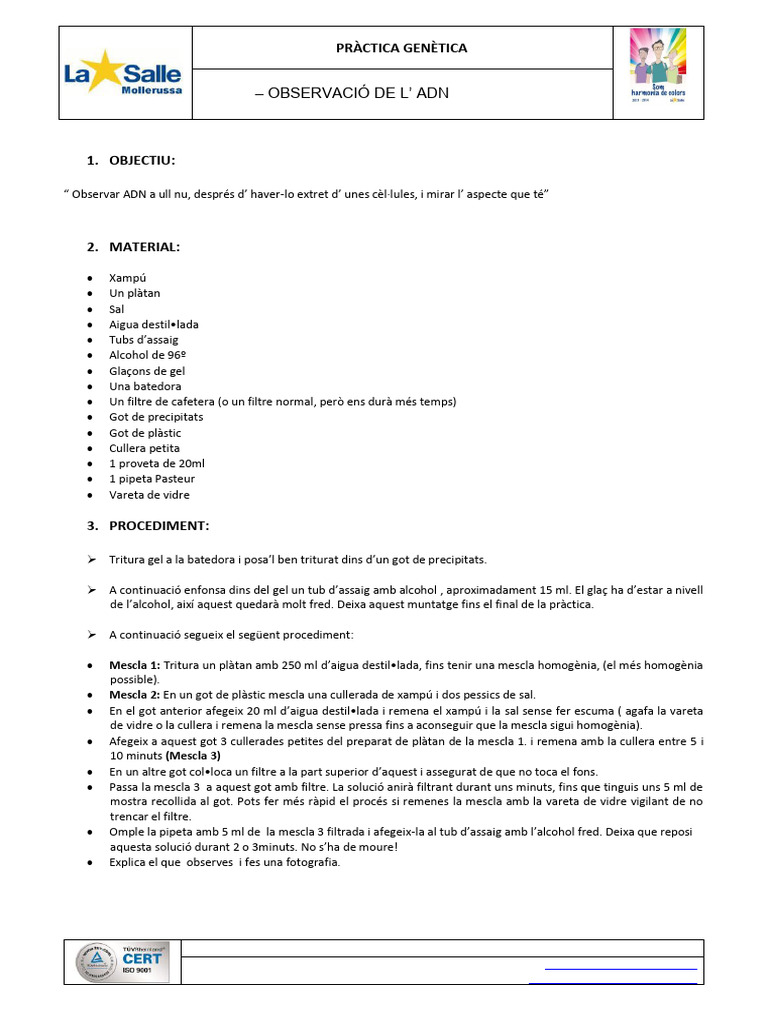 Pràctica Observació de l ADN (1) | PDF