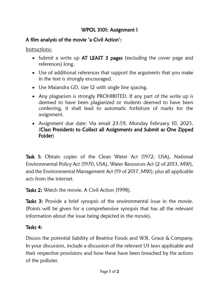 Assignment - Film Analysis - A Civil Action | PDF